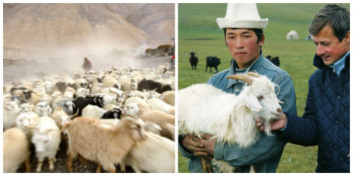 What Determines A Luxury Fiber - Henry A Davidsen